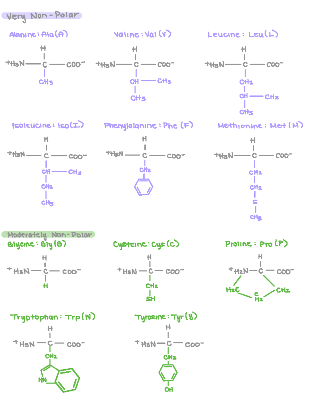 Amino Acids - Practice notes for AAs from lecture - Alanine Ala A ...