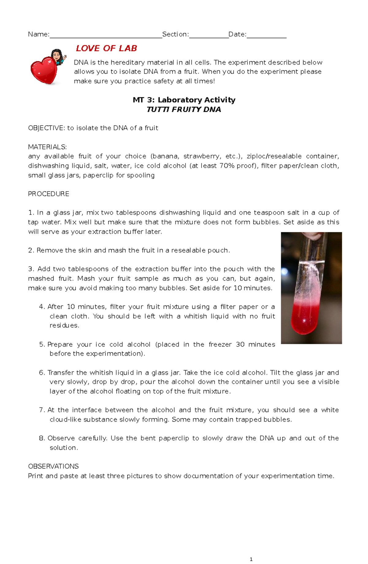MT 3: Tutti Frutti DNA Extraction - Activity Sheet & Practice Guide ...