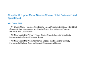 Visceral Motor System Overview: Structure, Function & Integration - The Visceral Motor System ...
