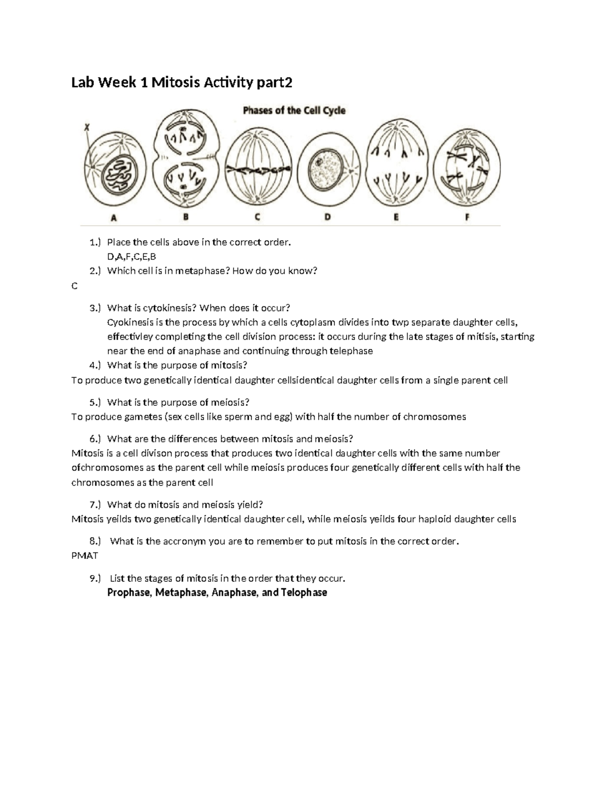 Unit 1 Lab Mitosis Activity - Lab Week 1 Mitosis Activity part 1 ...
