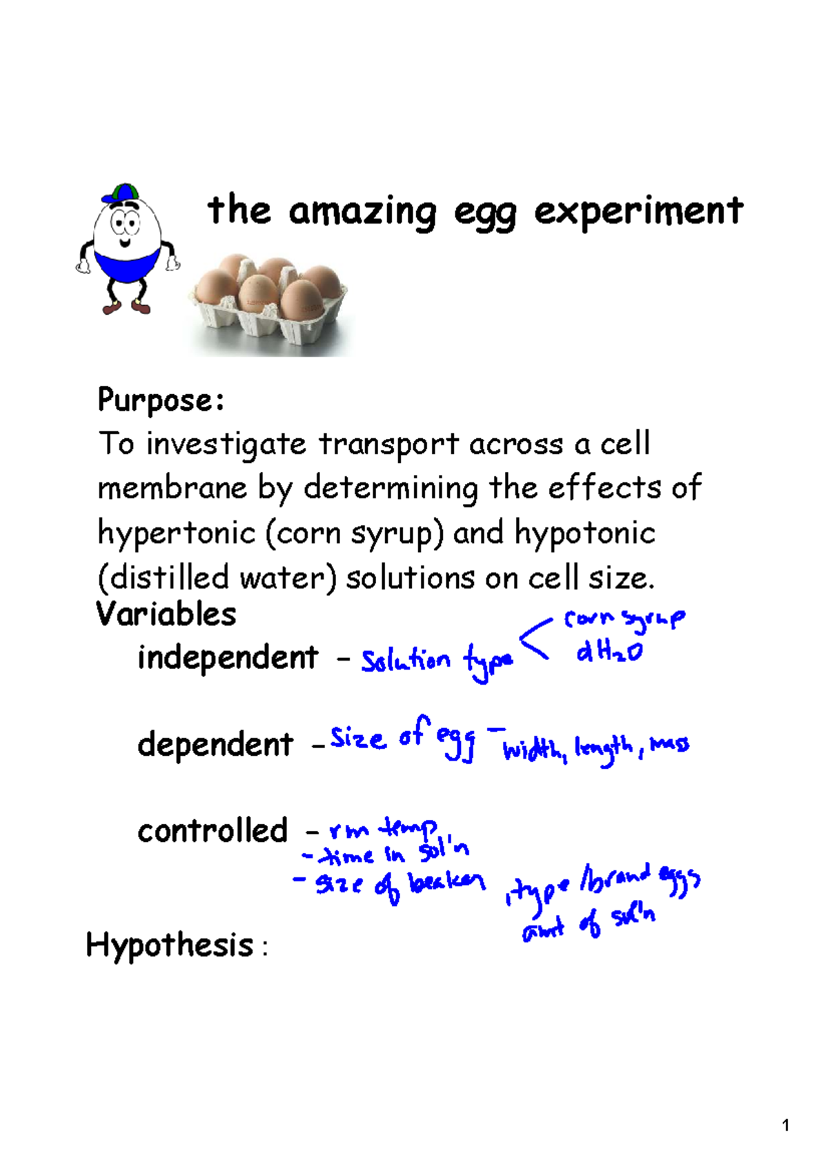Biology Lab Report: Investigating Egg Osmosis Experiment (BIO 101 ...