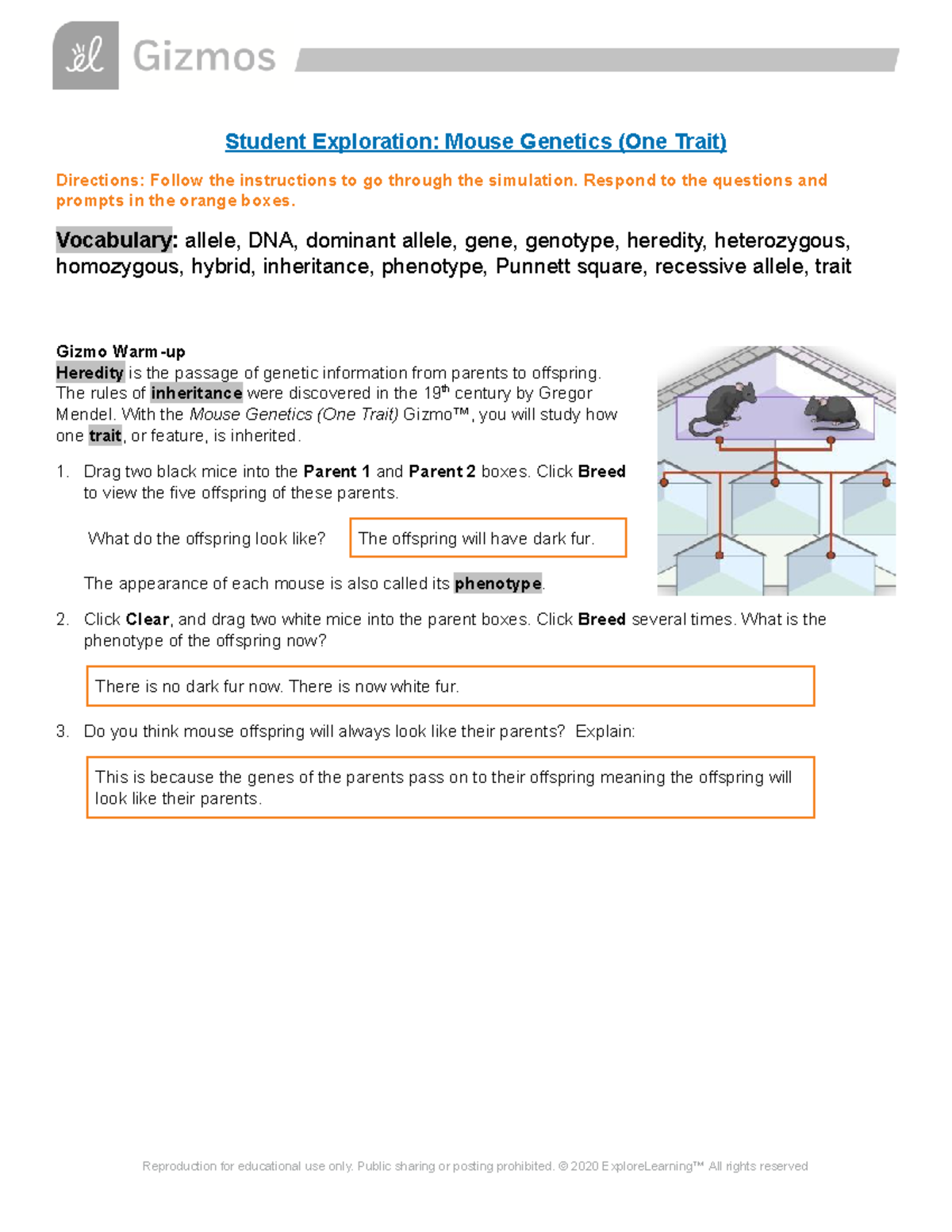 Unit Conversion Gizmo Activity D and C - Student Exploration: Mouse ...