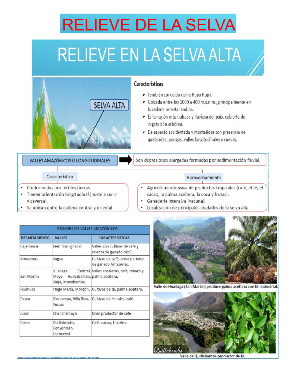 Relieve de la Selva Alta y Valles Amazónicos - Clase de Geografía - Studocu