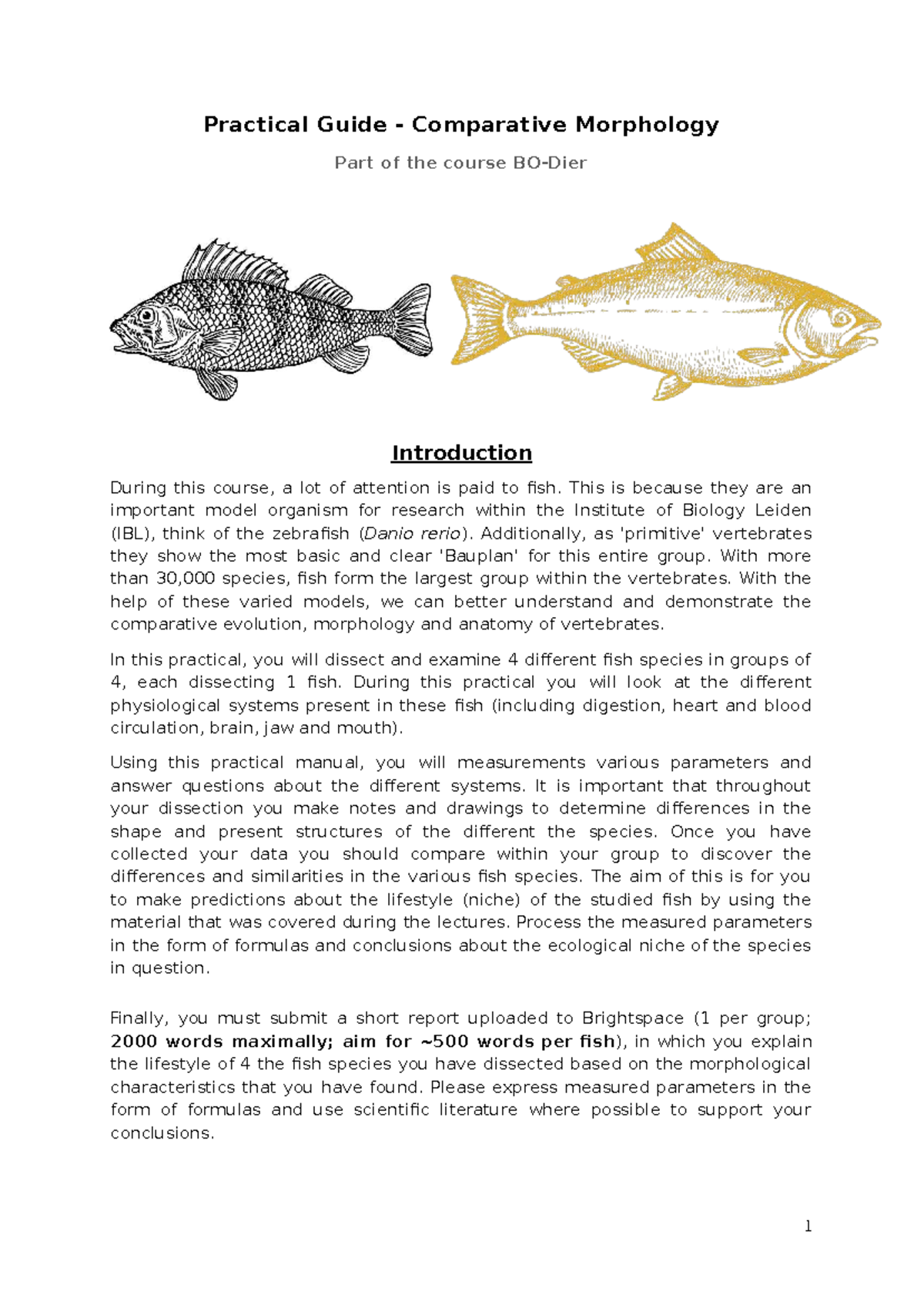Practical Guide to Comparative Morphology of Fish Species (IBL 101 ...