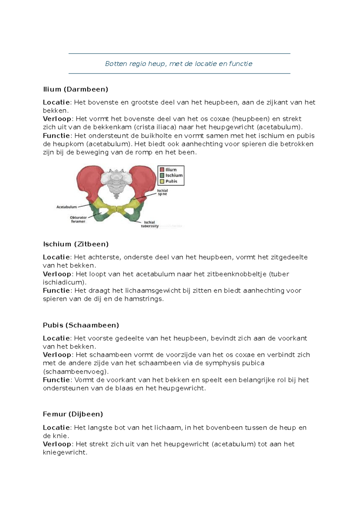Anatomie van de heup - Botten en spieren: Locaties en functies ...