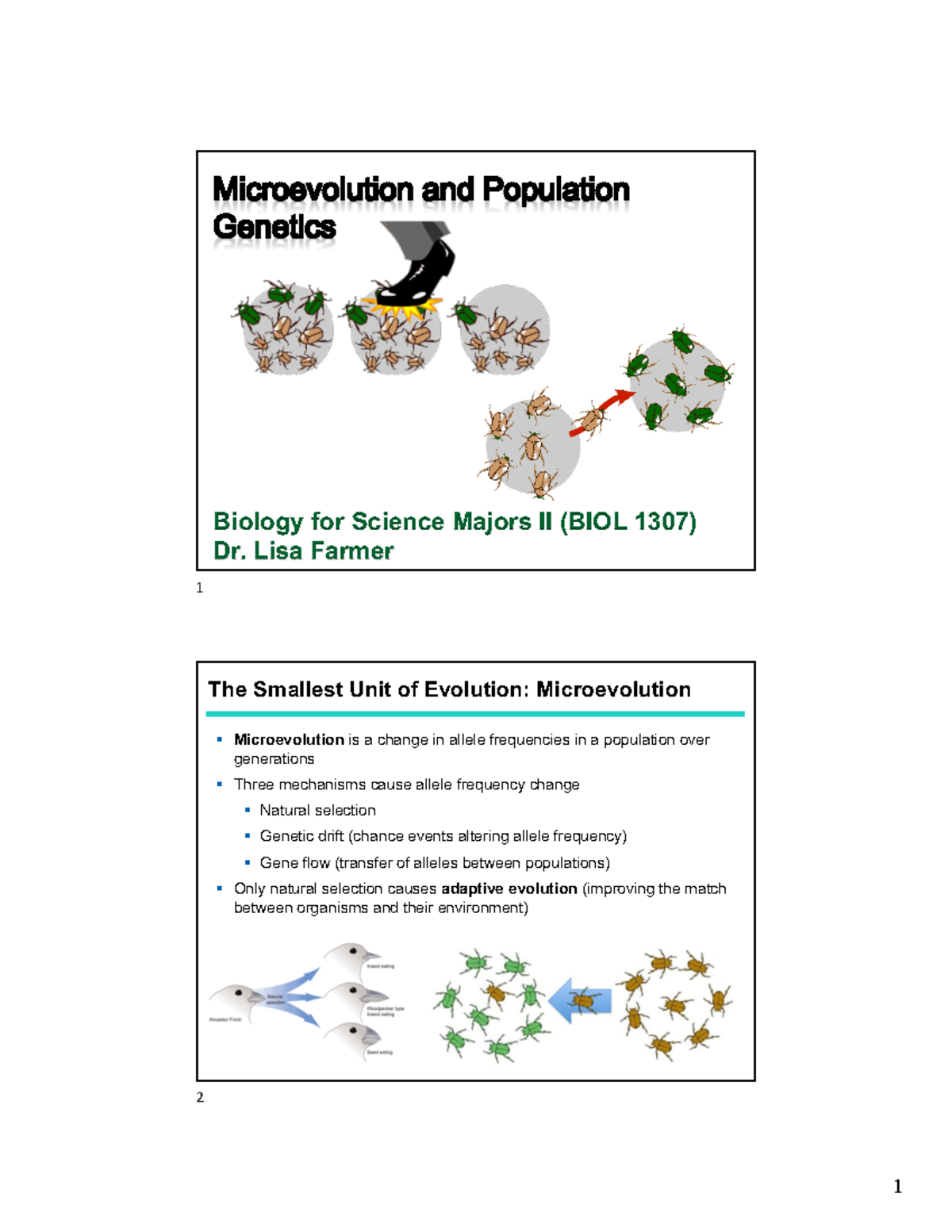 Microevolution and Population Genetics Lecture Notes (BIOL 1307 ...