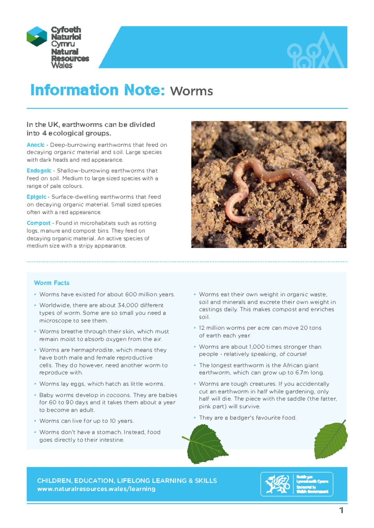 Worms in the UK: Ecological Groups and Fascinating Facts - Studocu