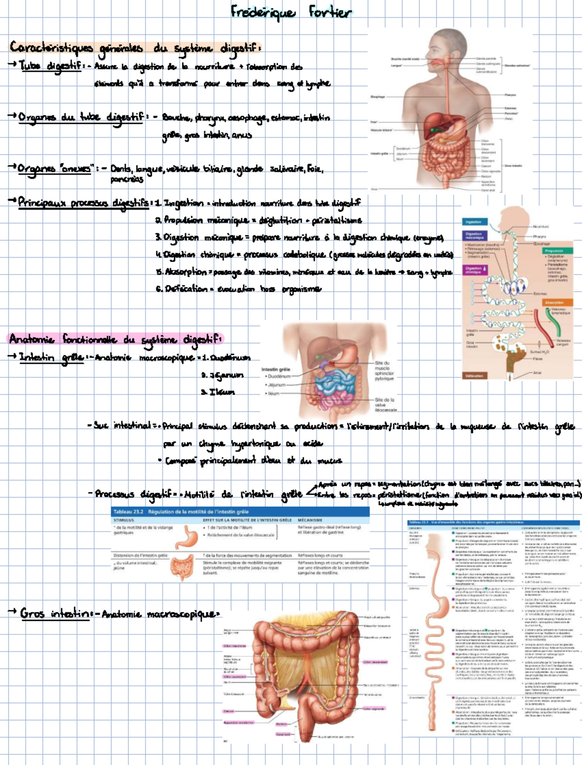 APP - Frédérique Fortier: Caractéristiques du Système Digestif et ...