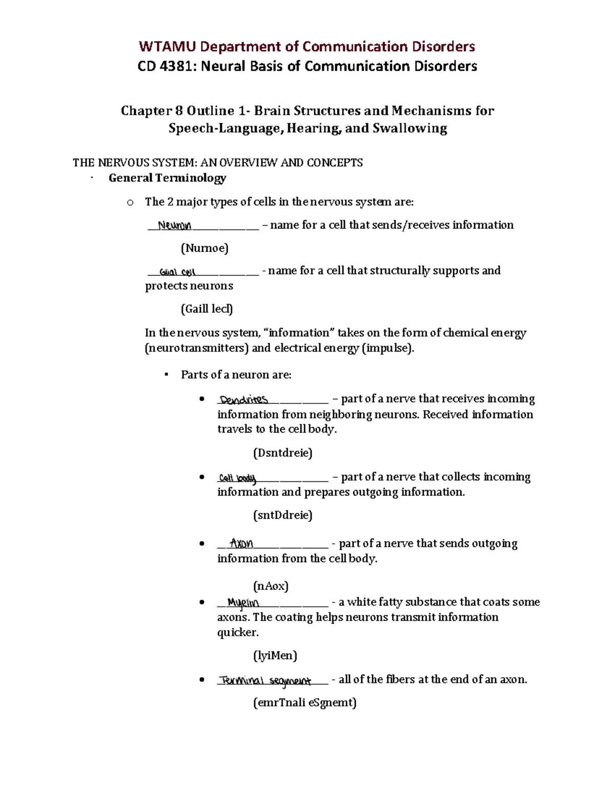CD 4381: Neural Basis of Communication Disorders - Chapter 8 Outline ...