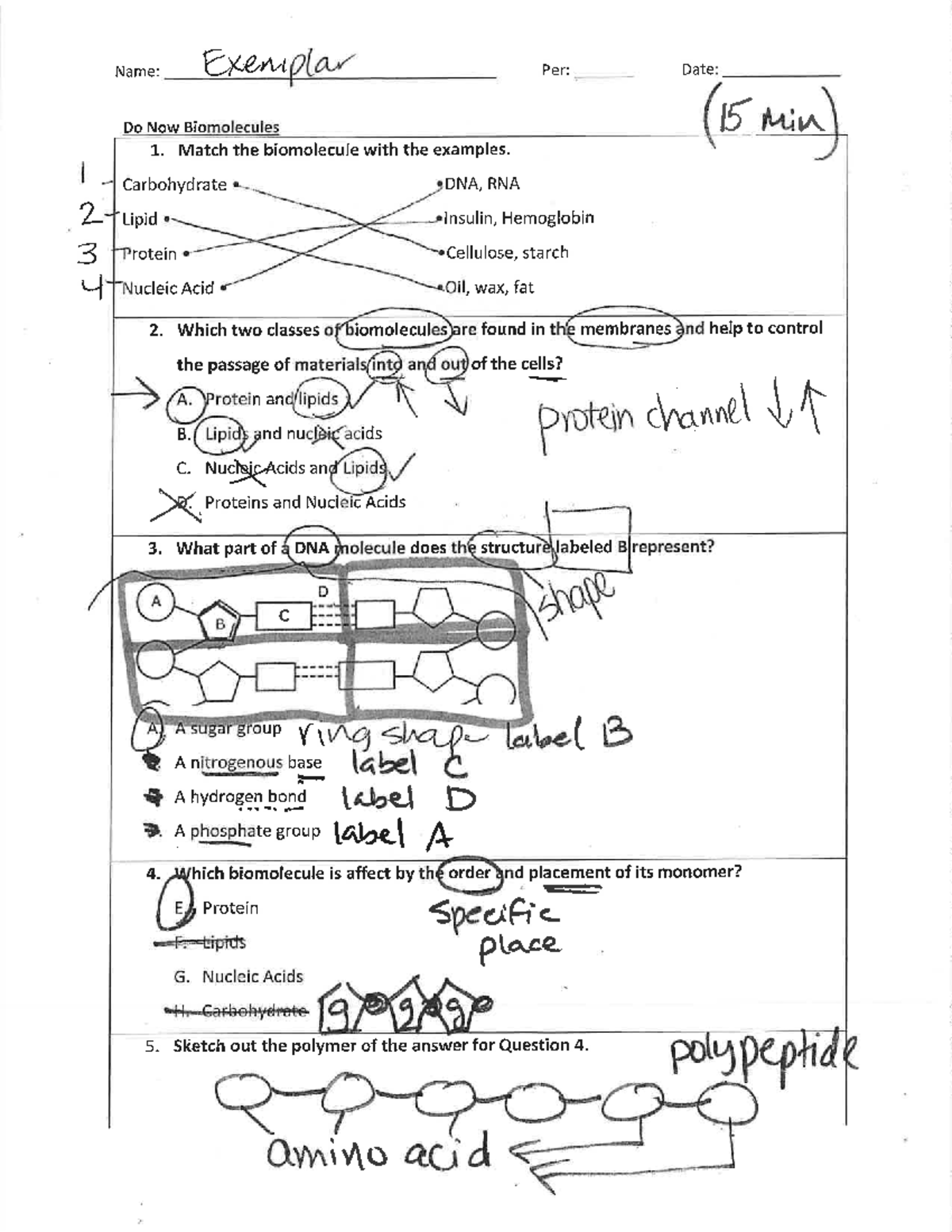 Biomolecules & Enzymes: Wk3 Assignment Overview and Discussion - Studocu