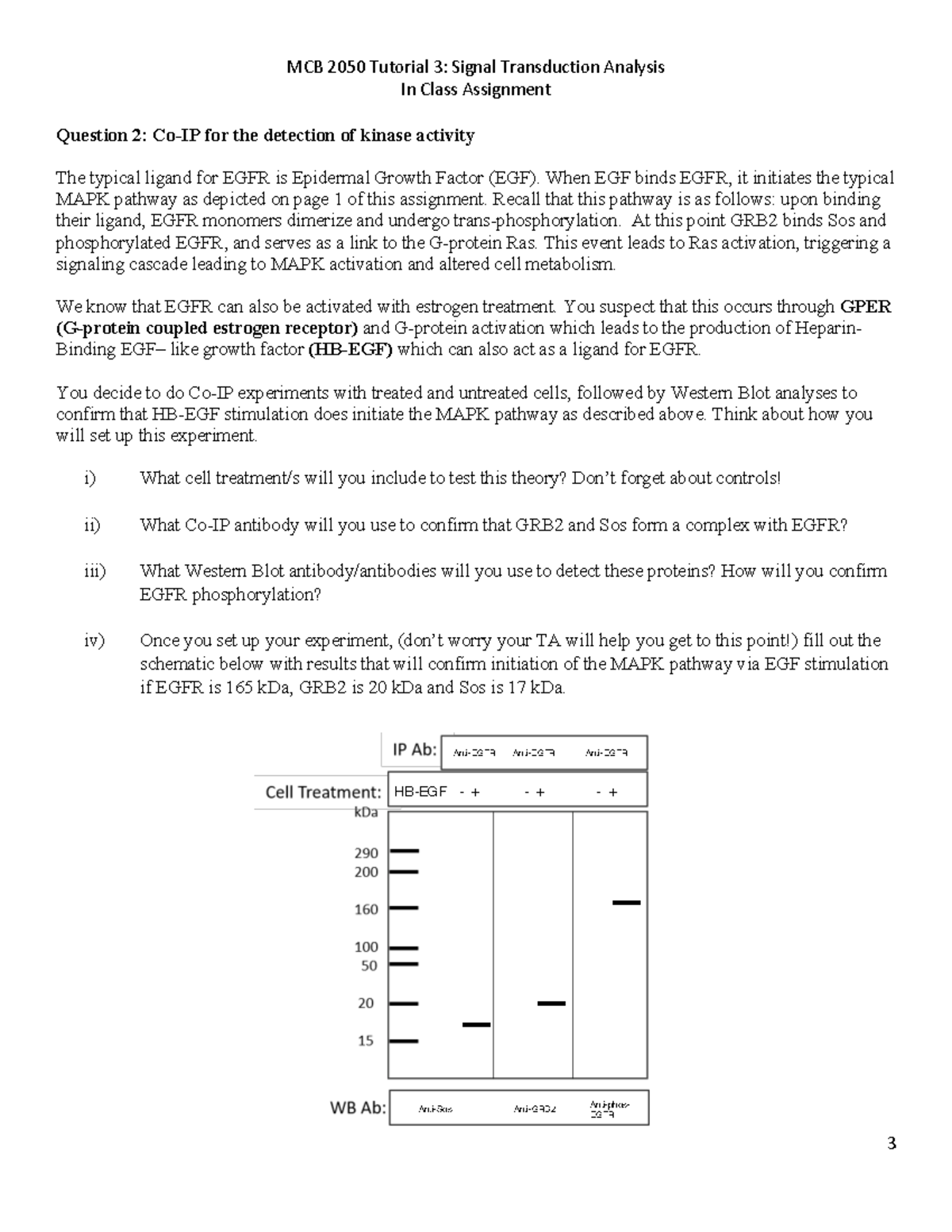 Seminar 3 - MCB 2050 Tutorial 3 : Signal Transduction Analysis In Class ...