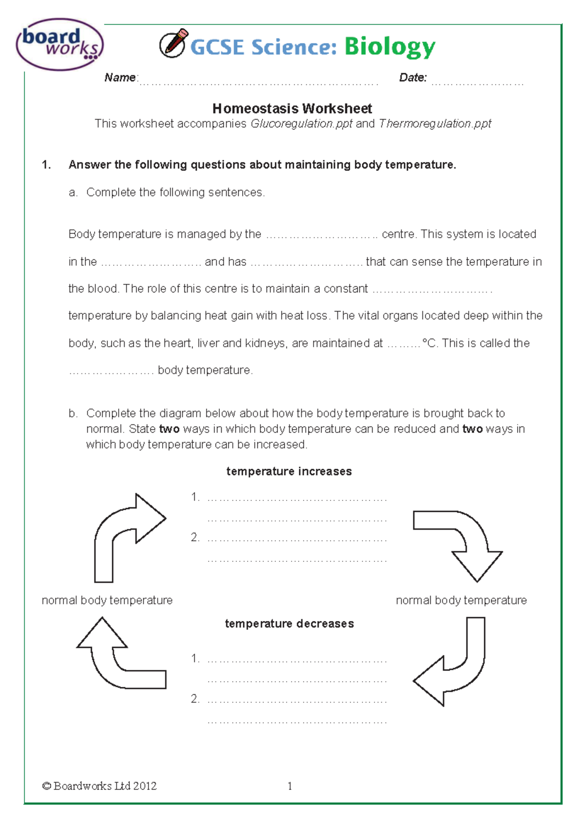 Homeostasis Worksheet: Glucoregulation & Thermoregulation Insights ...