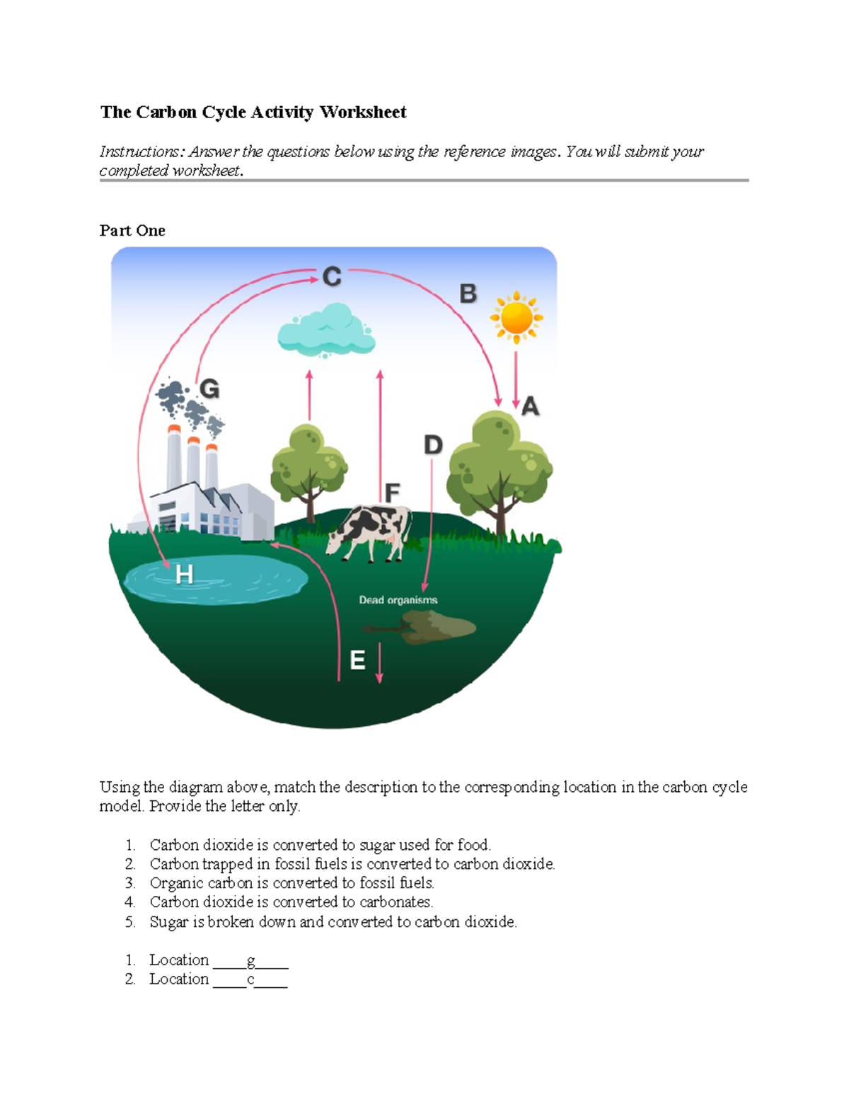 Carbon Cycle Activity Worksheet - Anthony - Studocu