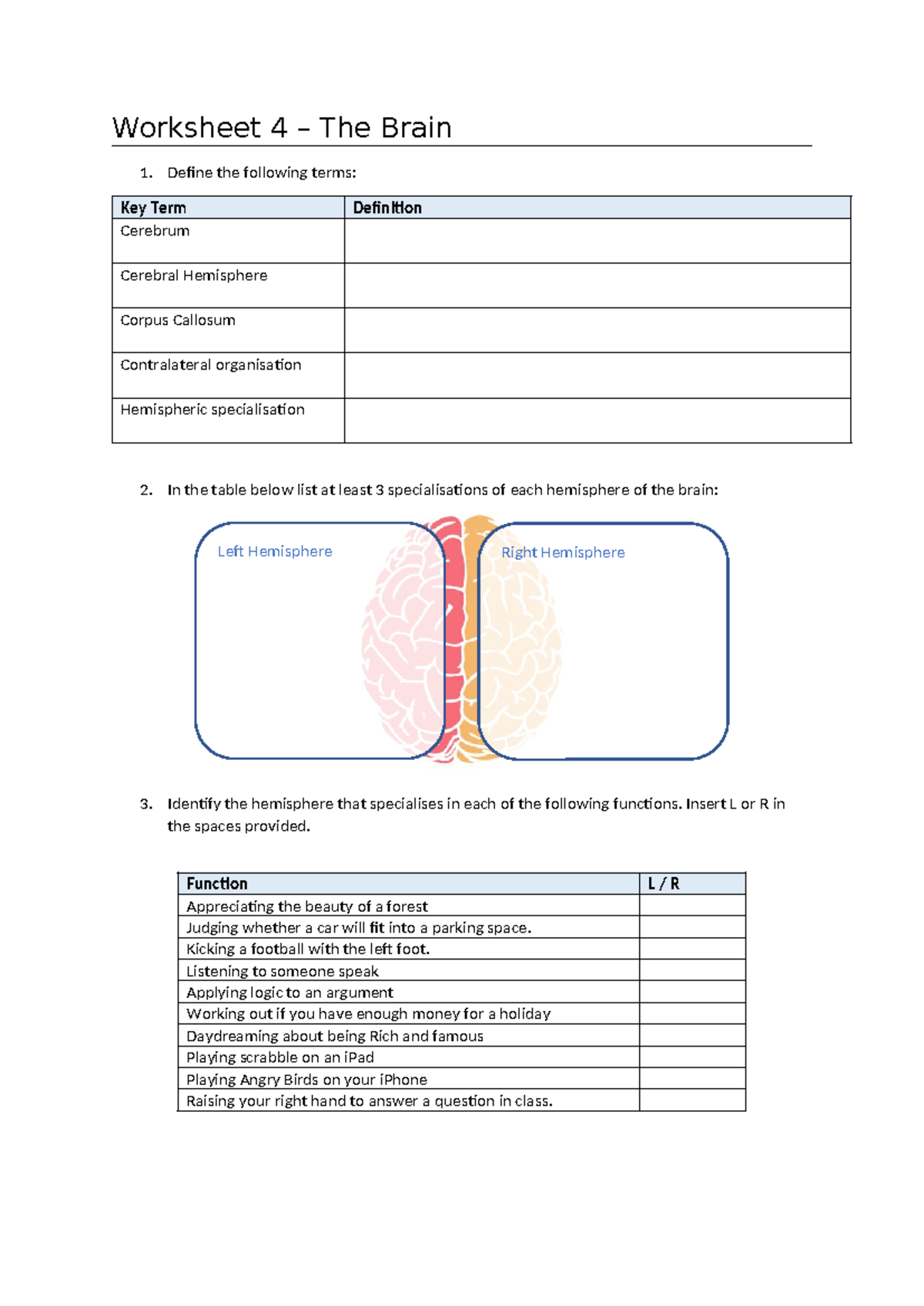 Worksheet 4. The Brain - For Nervous System unit - Worksheet 4 – The ...