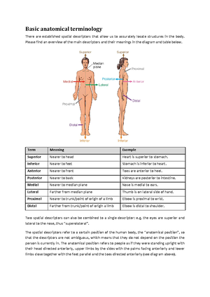 Anatomical Terminology - Anatomical Terminology Learning Outcomes ...