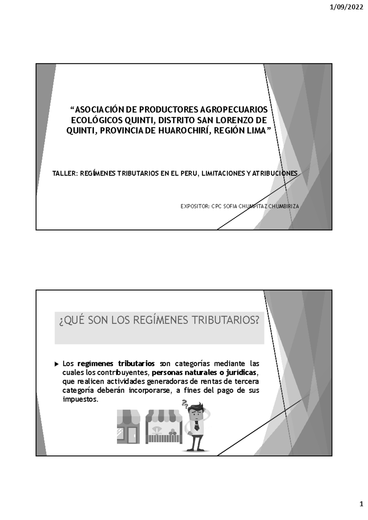 Taller: Regímenes Tributarios en Perú - CPC Sofía Chumpitaz Chumbiriza ...