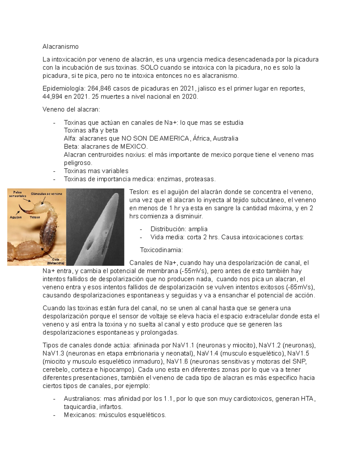Alacranismo: Intoxicación por Veneno de Alacrán y su Manejo Clínico ...