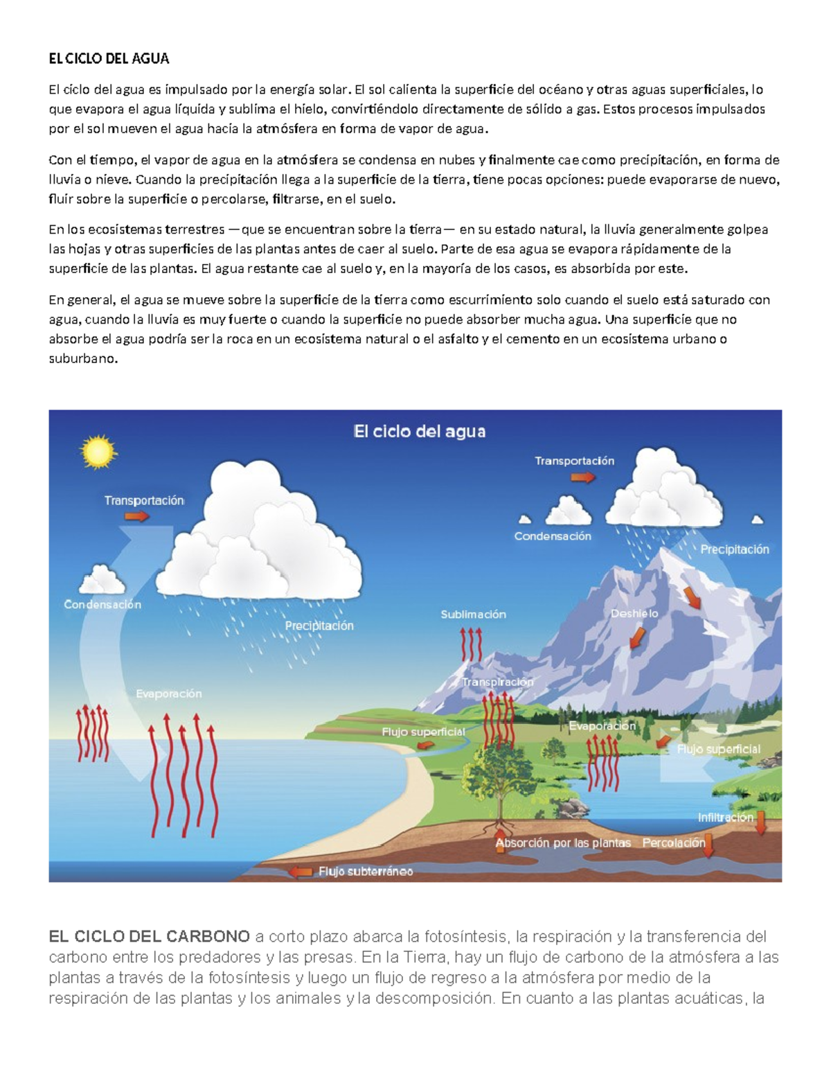 Ciclo Del Agua De Percolación