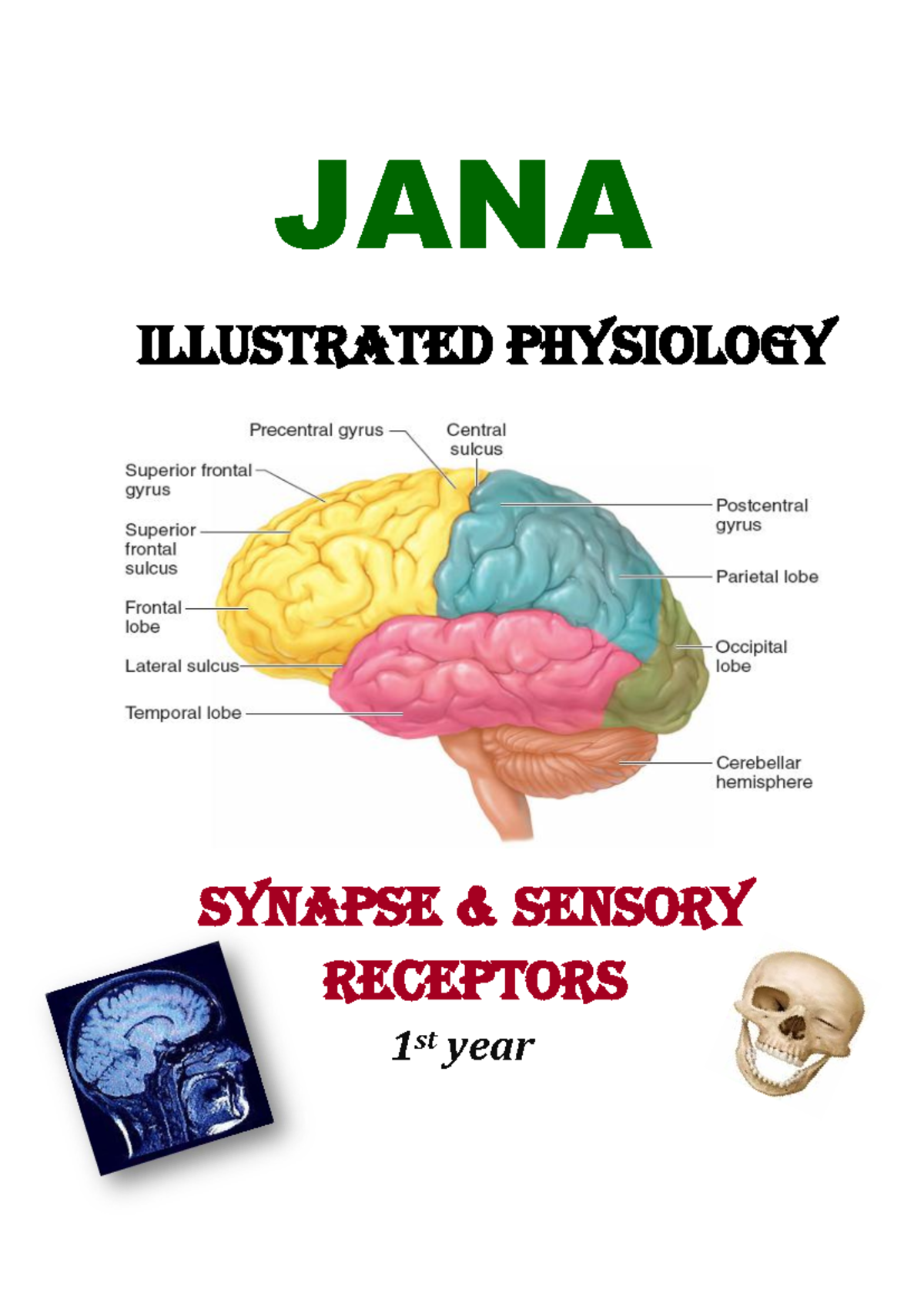 Synapse 2021 - physiology - JANA ILLUSTRATED PHYSIOLOGY Synapse & sensory receptors 1 st year ...