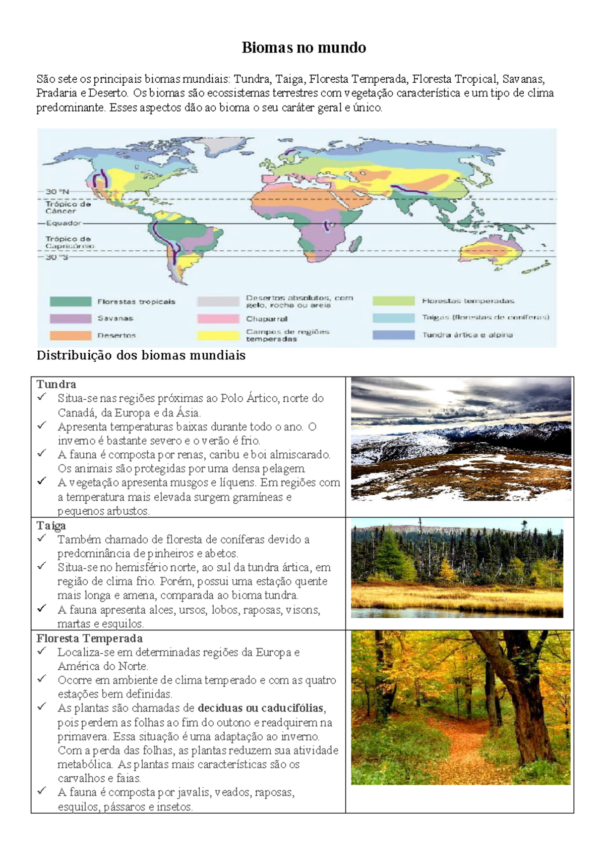 Biomas no mundo - Resumo Direito - Biomas no mundo São sete os ...