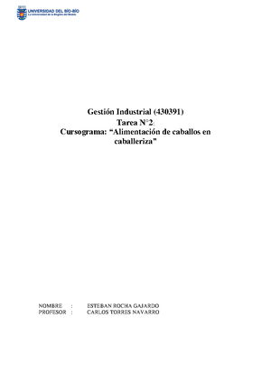 Formato reporte Versión Gary - Facultad de Ingeniería Depto. Ingeniería ...