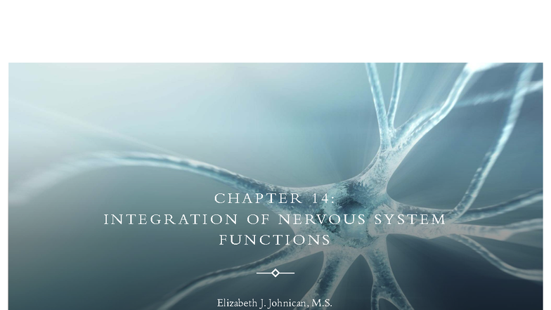 Chapter 14: Integration of Nervous System Functions (BIO101) - Studocu