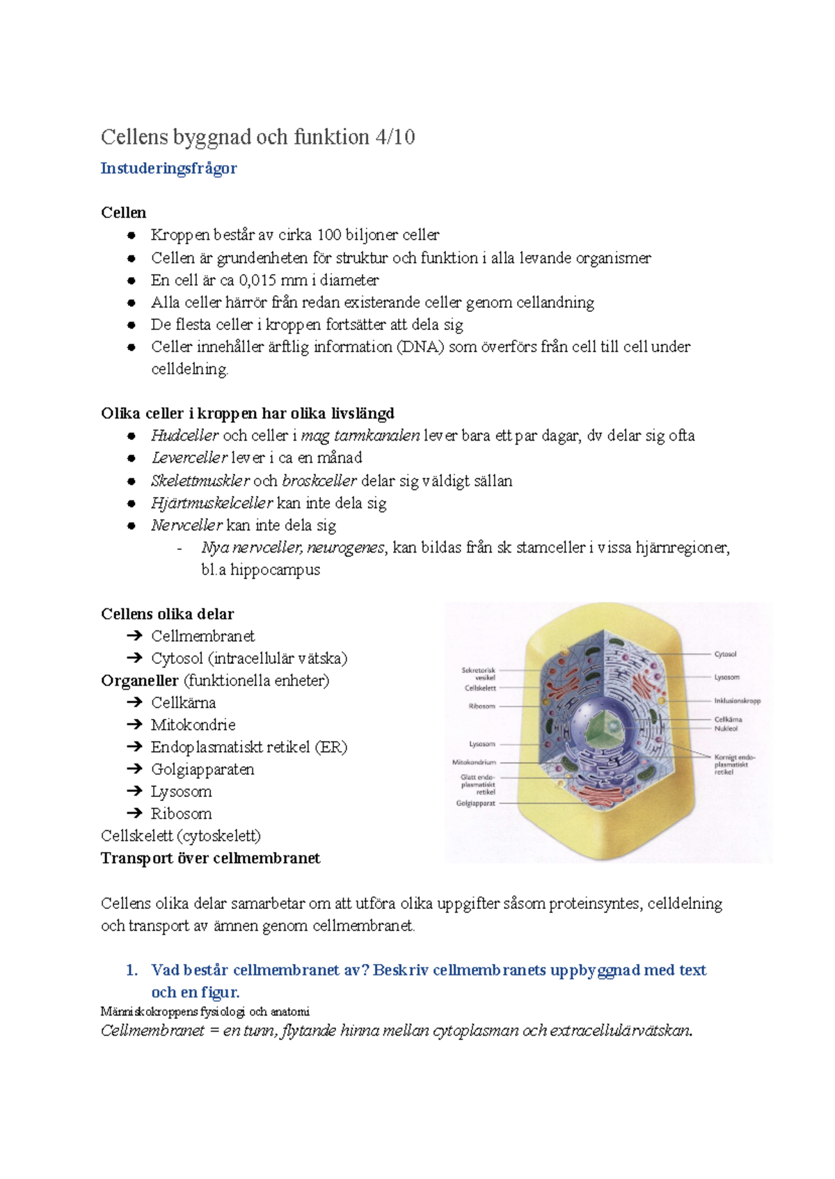 Cellens byggnad och funktion - Olika celler i kroppen har olika ...