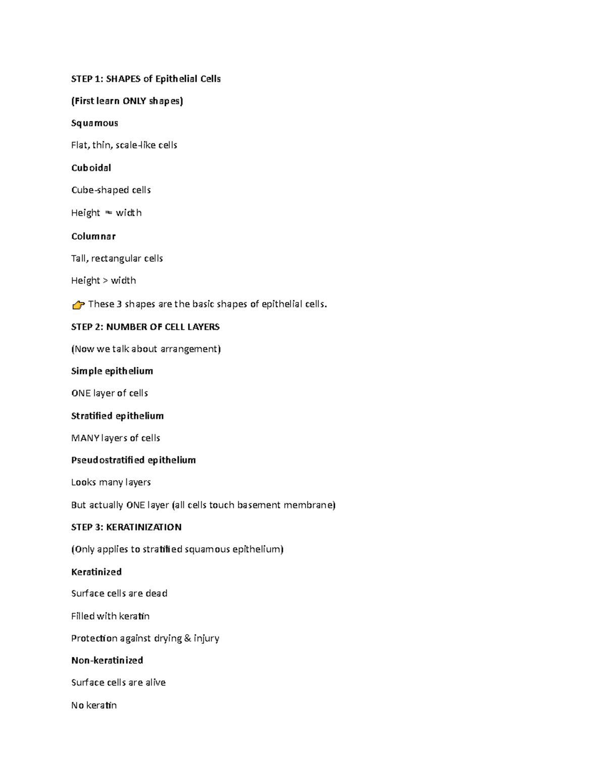 Epithelial Cells Overview: Shapes, Layers, and Functions - Studocu