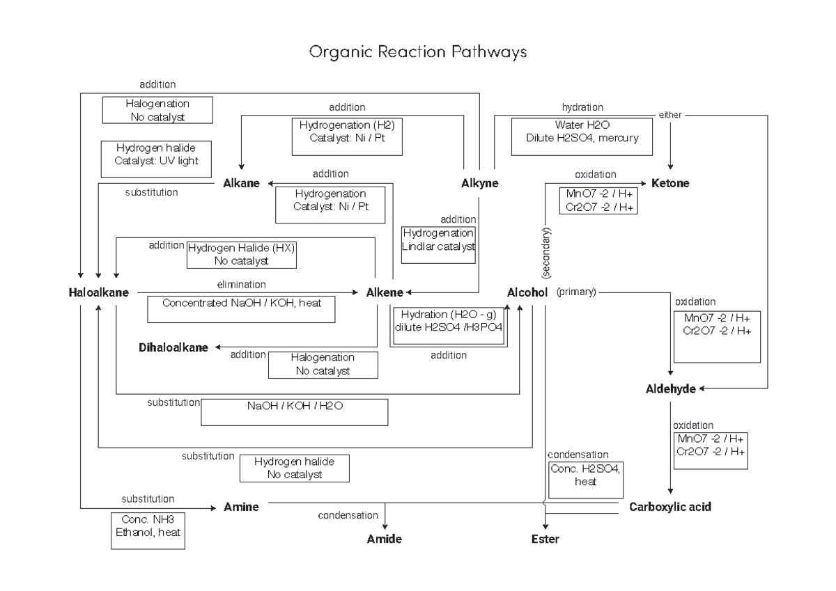 Reaction Pathways Worksheet (HSC) - Organic Reaction Pathways either ...