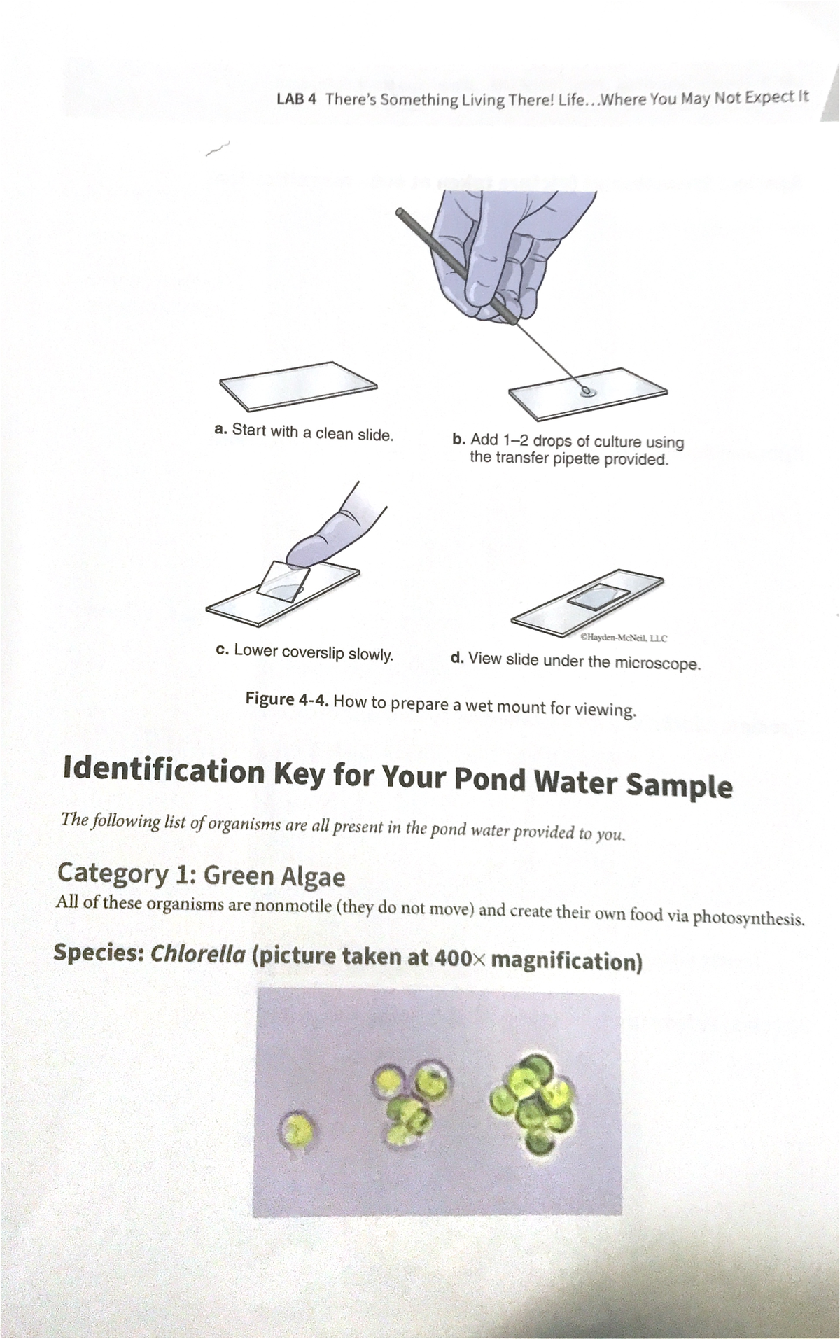 LAB 4: Exploring Life in Pond Water Samples and Wet Mount Prep - Studocu