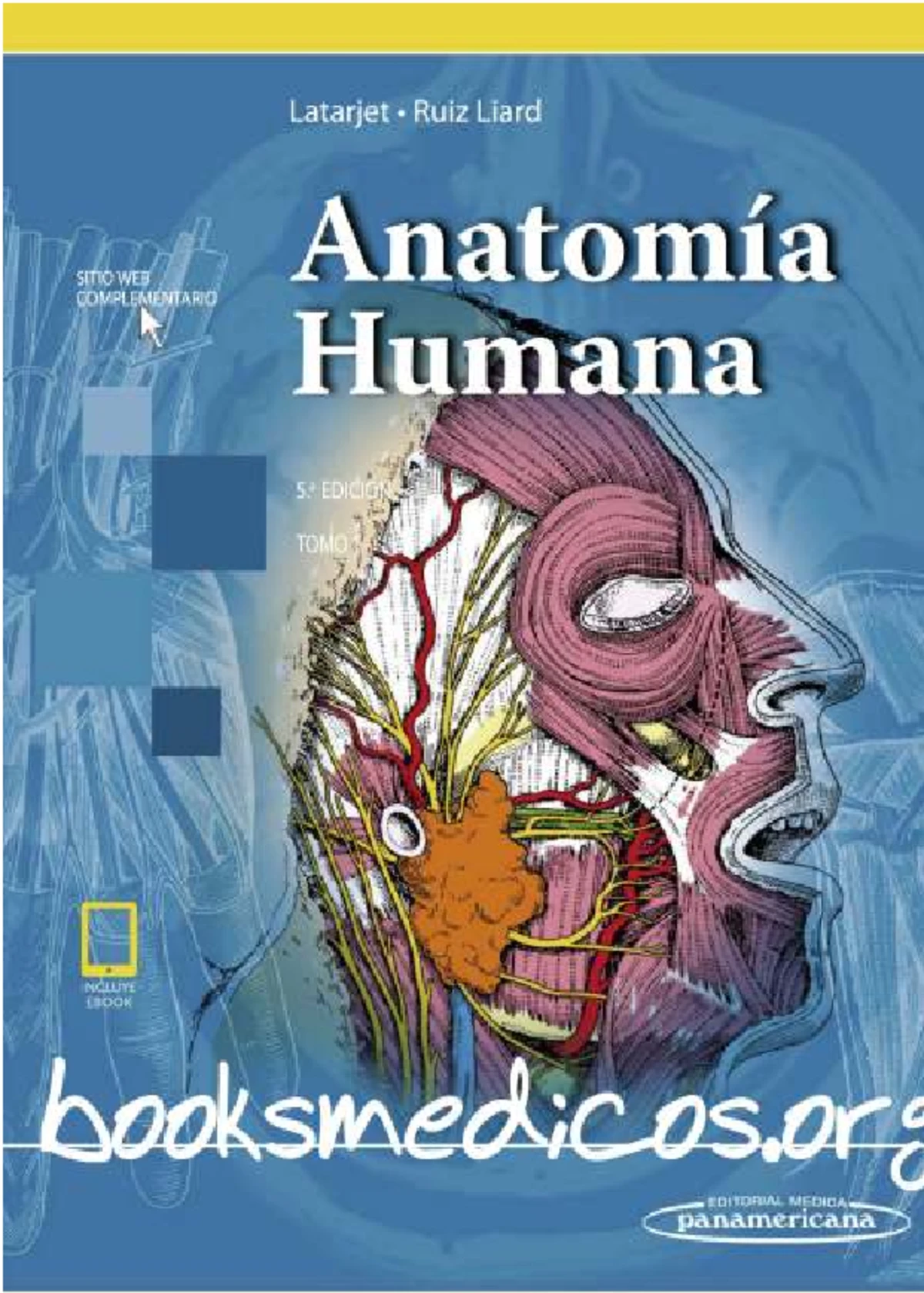 Escala de Glogau: Evaluación del Envejecimiento de la Piel - Studocu