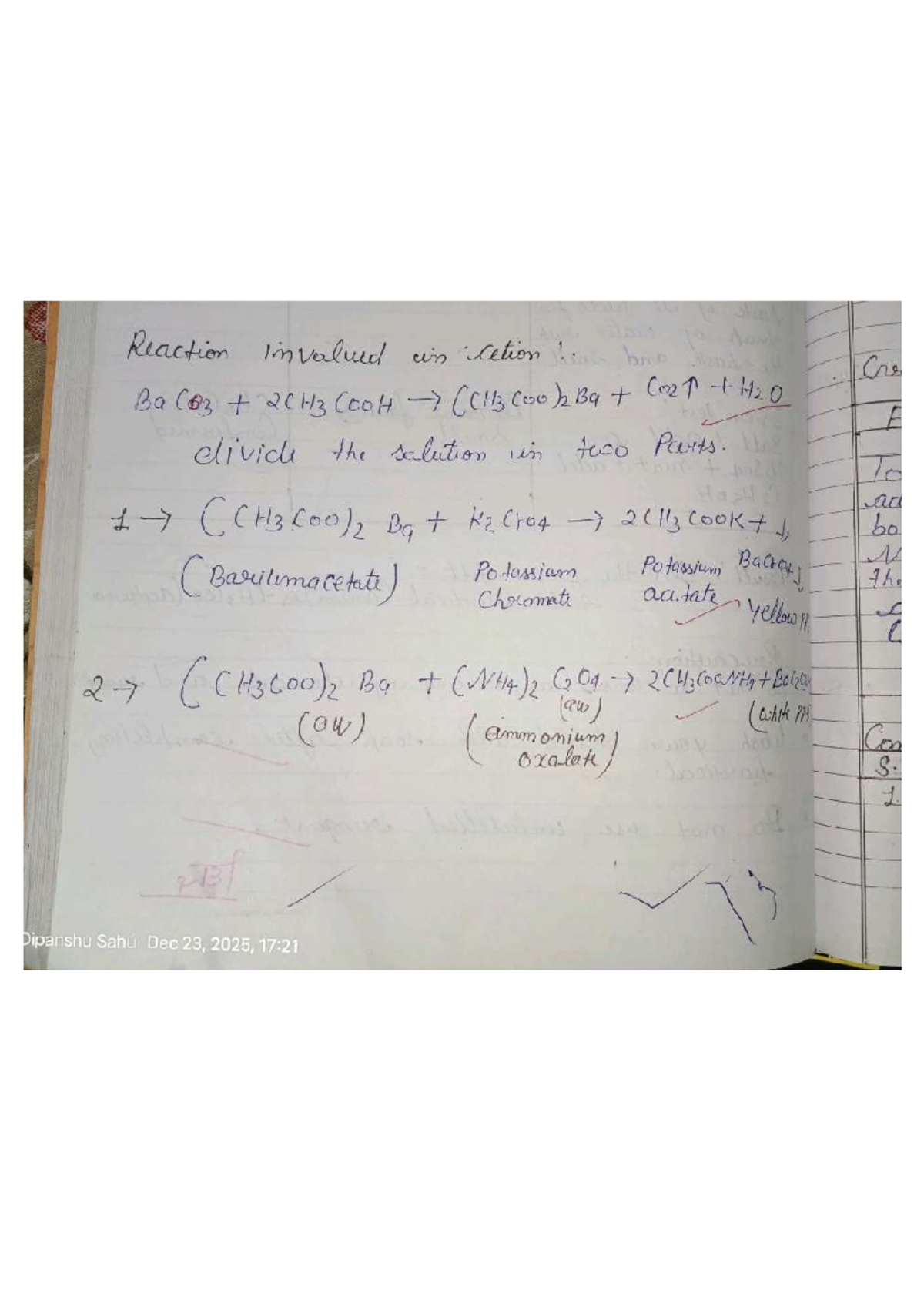 Chemistry Experiment Analysis: Cation & Anion Tests (Chem 101) - Studocu