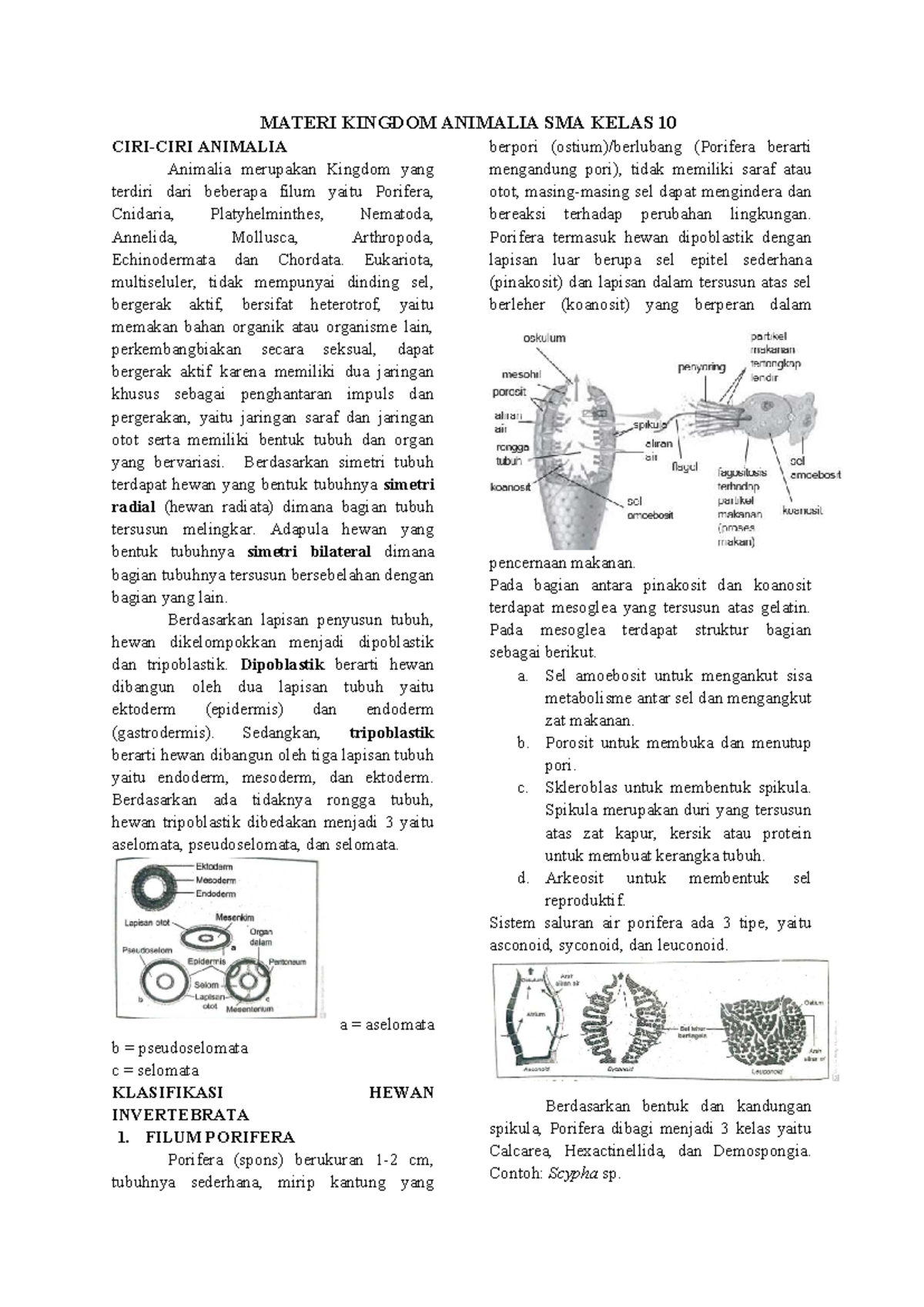 MATERI KINGDOM ANIMALIA SMA KELAS 10: INVERTEBRATA & VERTEBRATA - Studocu