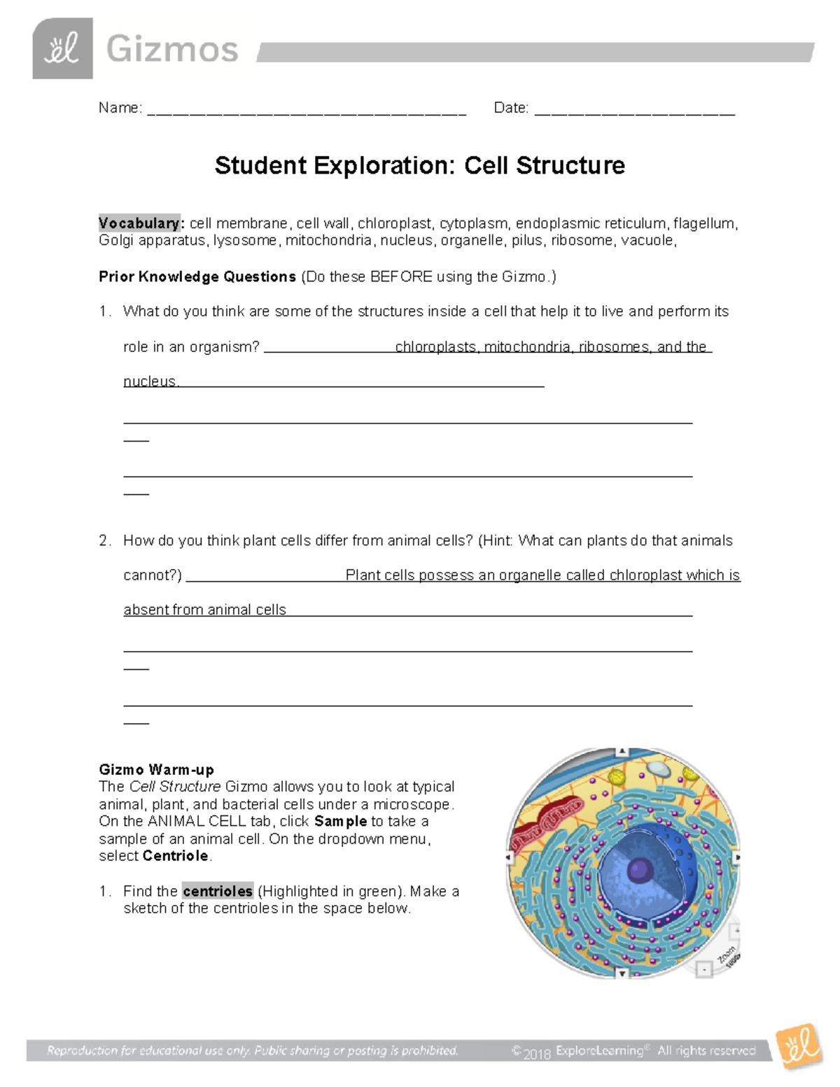Cell Structure Gizmo-1 - Name ...