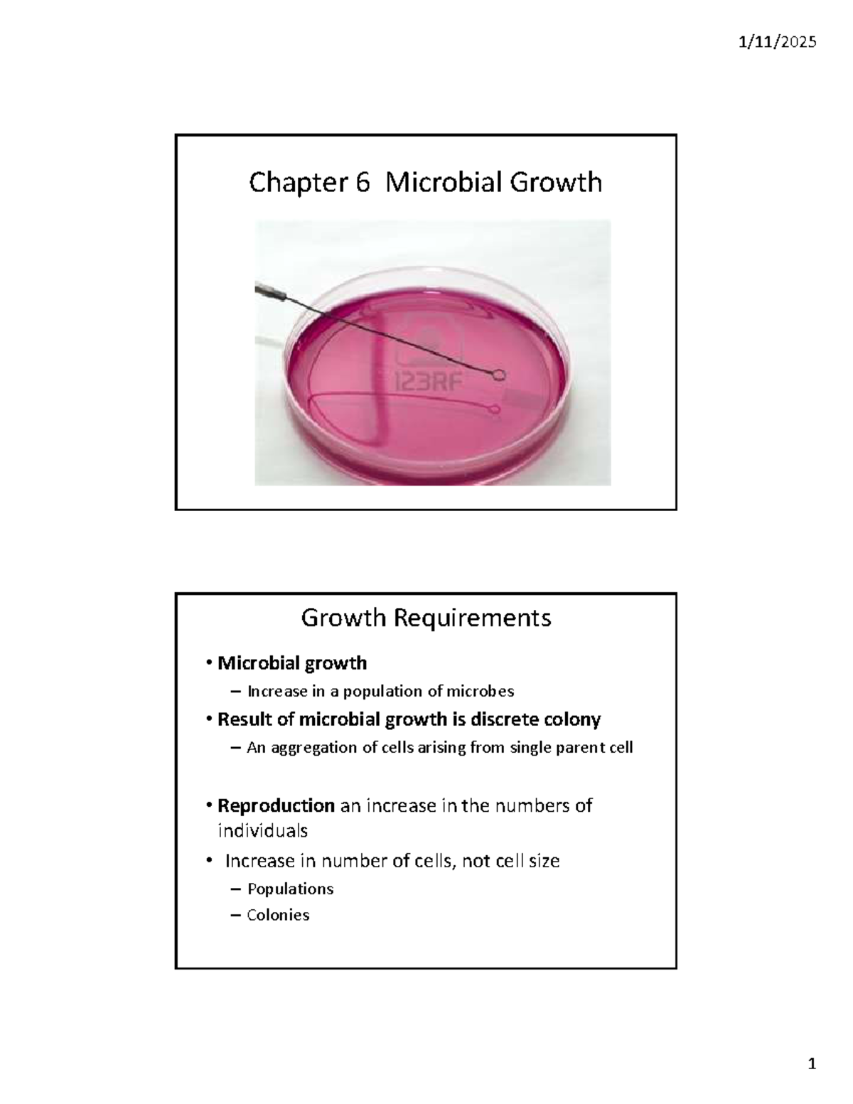 Microbial Growth: Requirements, Classification, and Culture Media (BIOL ...