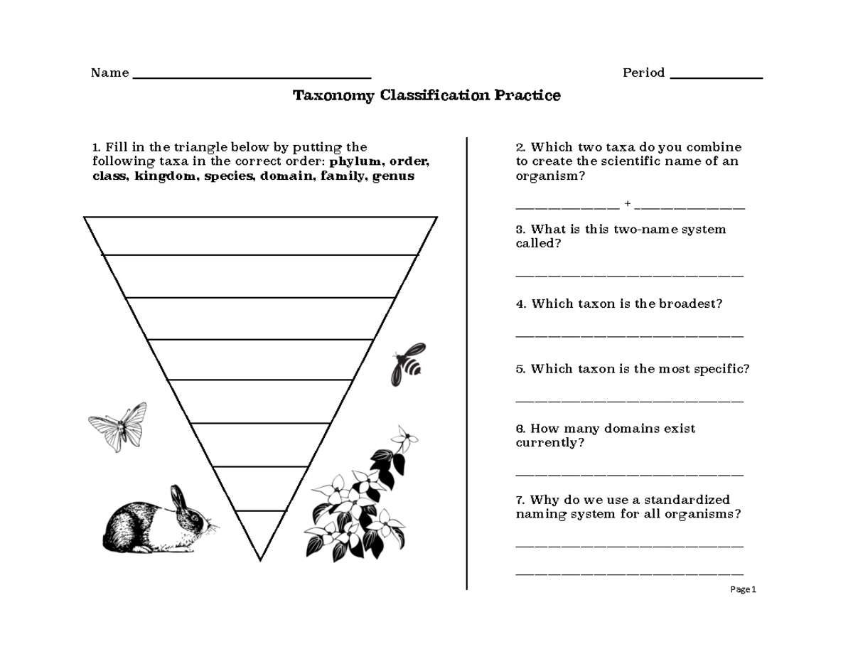Taxonomy Classification Worksheet Science: Taxonomy Scientific