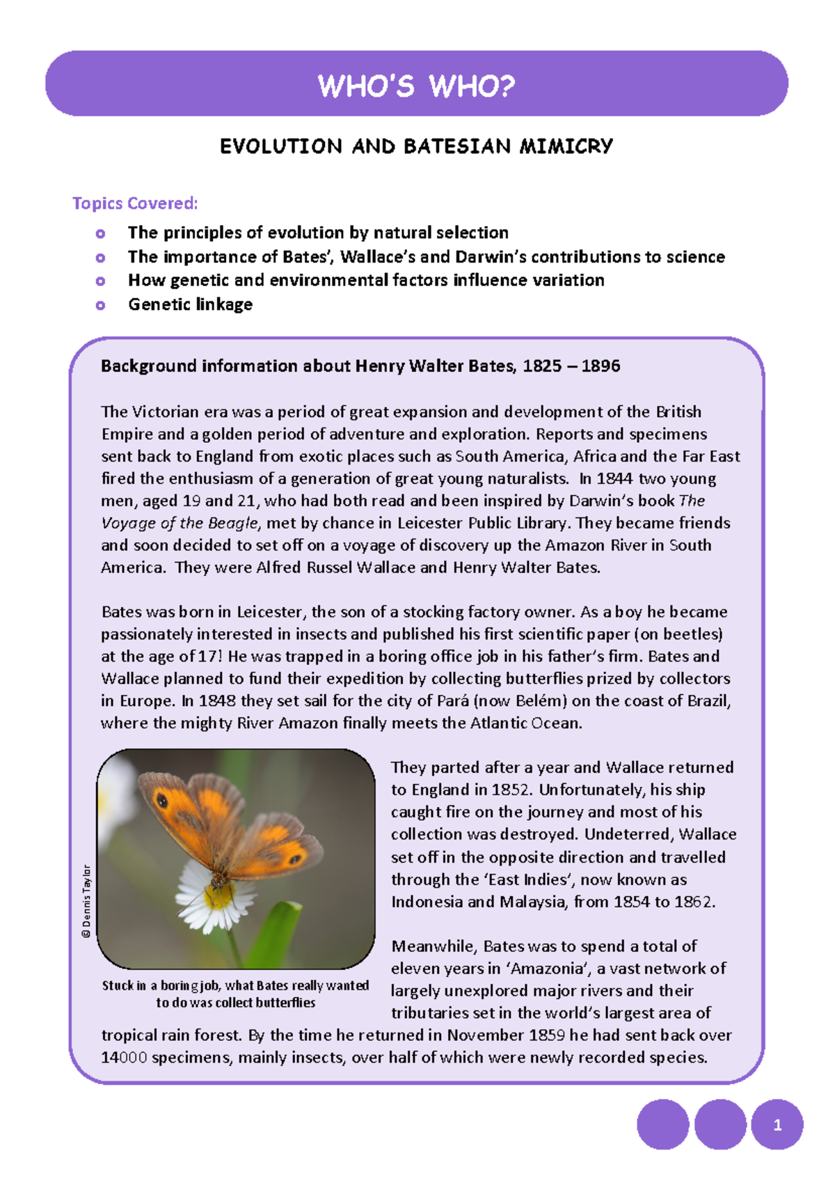 EVOLUTION (BIO101): Evolution and Batesian Mimicry Worksheet - Studocu