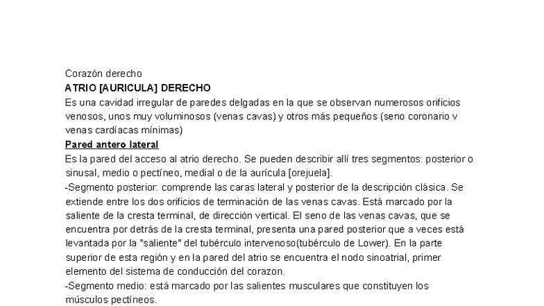 Anatomía del Corazón: Atrio y Ventrículo Derecho - Estudio Detallado ...