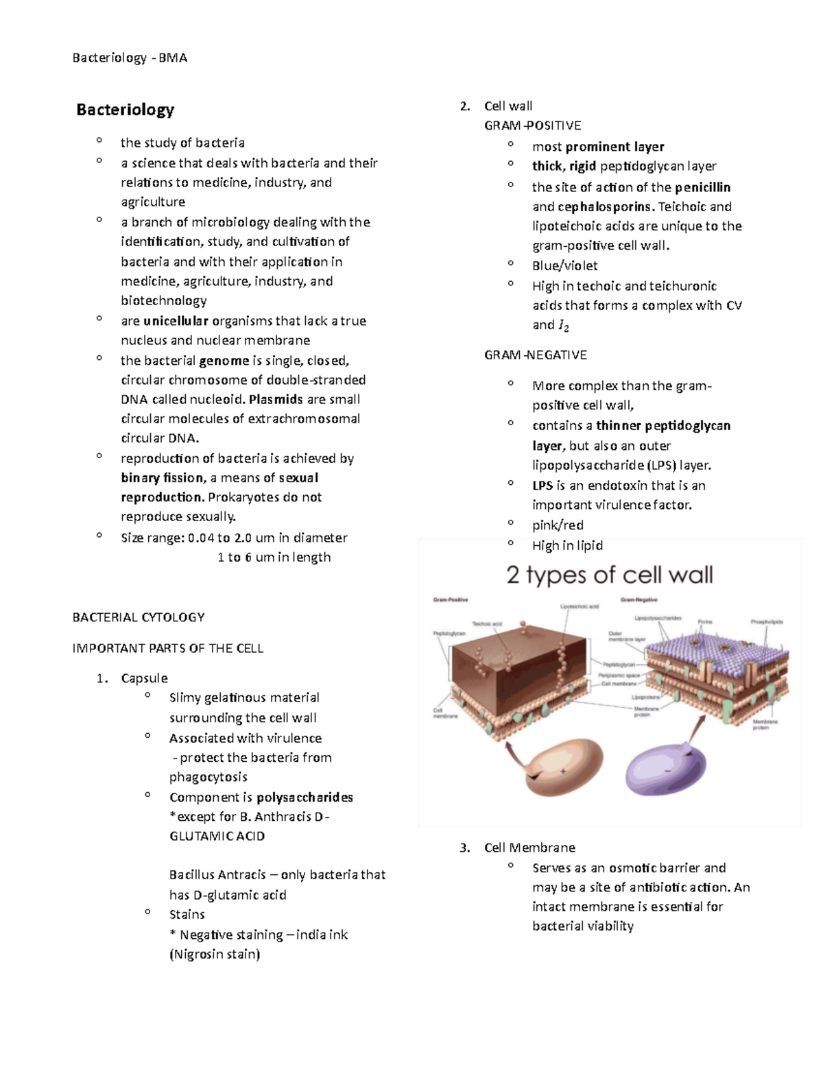 Bacteriology Lecture Notes: Understanding Bacterial Structures and ...