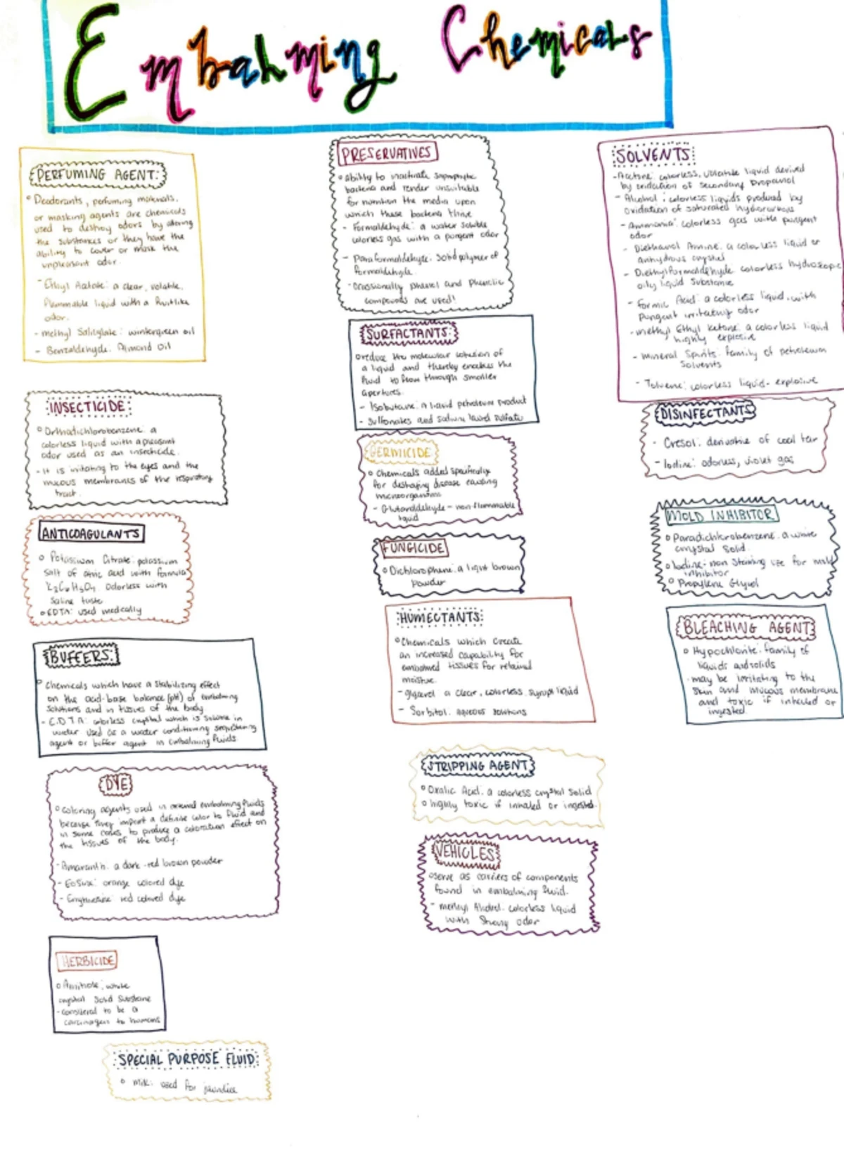 Chapter 8 Review Questions - Chapter 8 Review Questions Anatomical ...