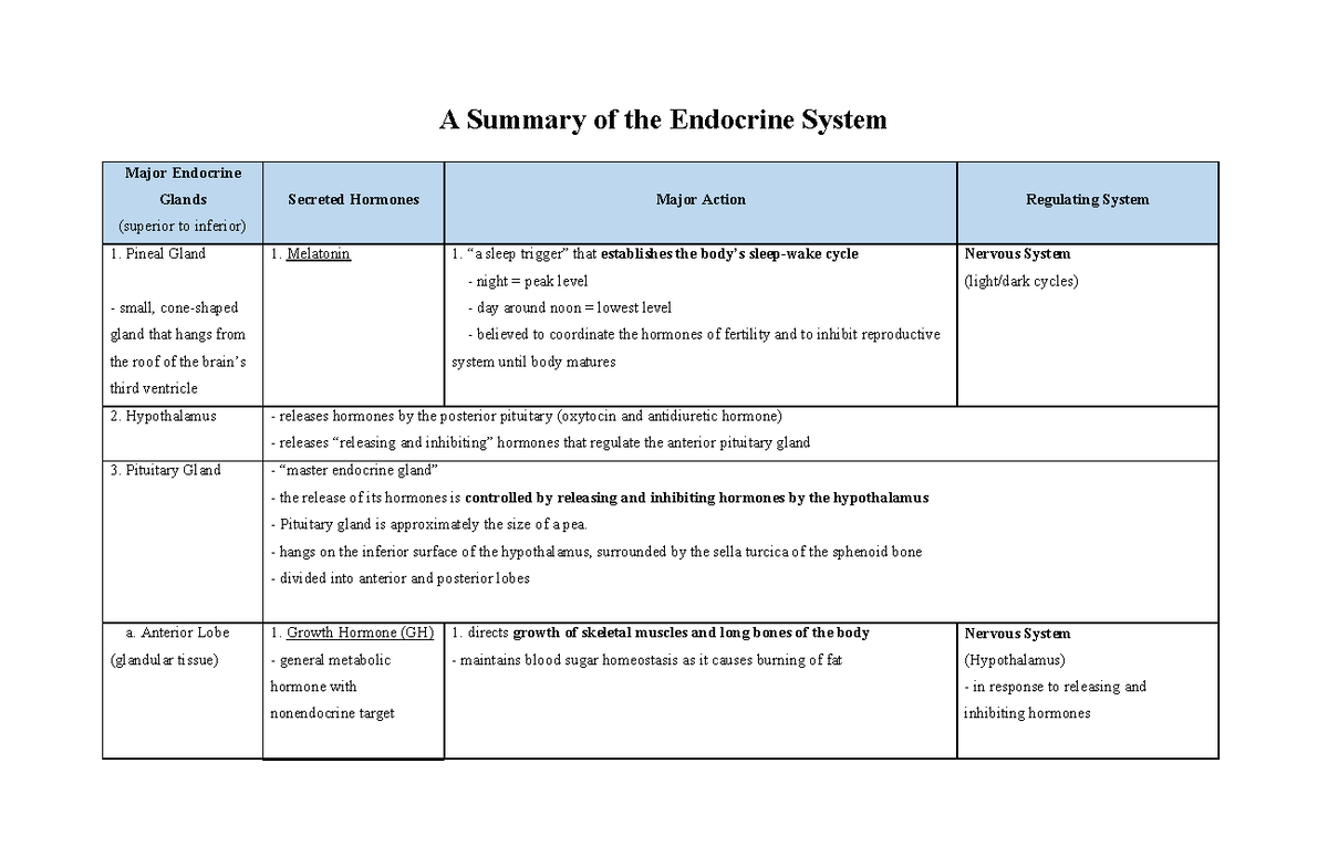 Quick Study Guide To The Endocrine System - A Summary of the Endocrine ...