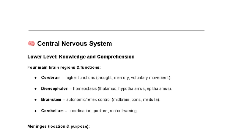 PNB 3 Study Guide: Central Nervous System Functions and Motor Control ...
