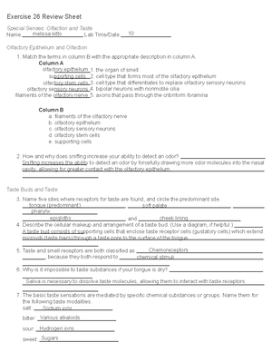 Exercise 24 Review Sheet Done - Exercise 24 Review Sheet Special Senses ...