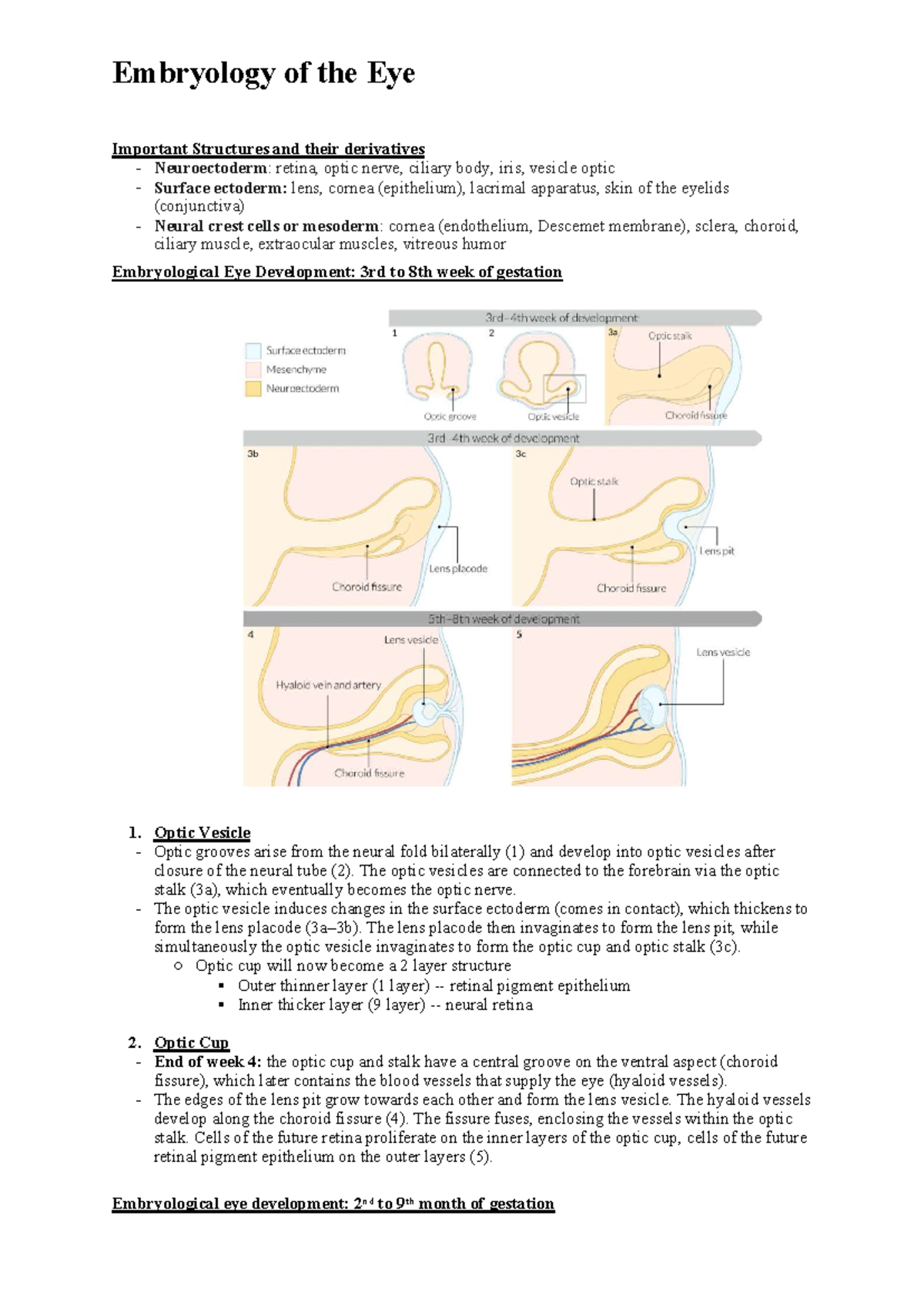 Embryology of the Eye - Emergency Medicine - USU - Studocu