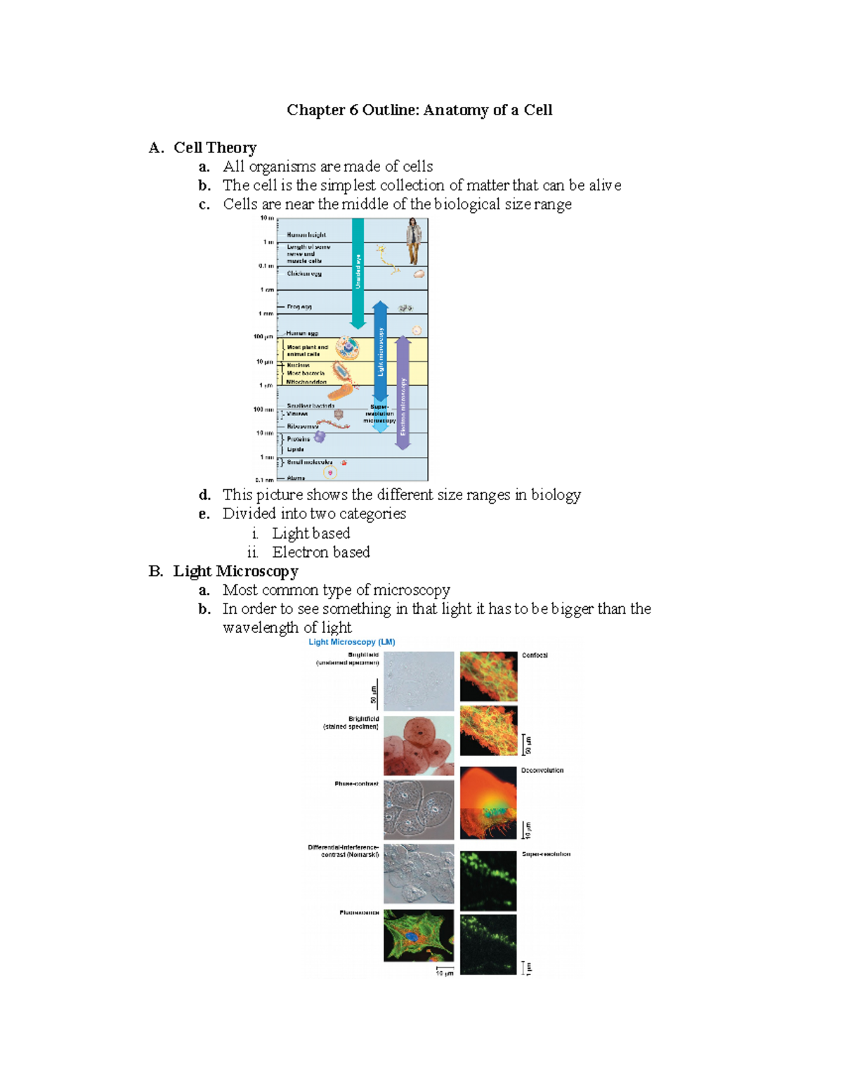 Chapter 6 Outline: Cell Anatomy & Function - BIOL 1201 LiCata - Studocu