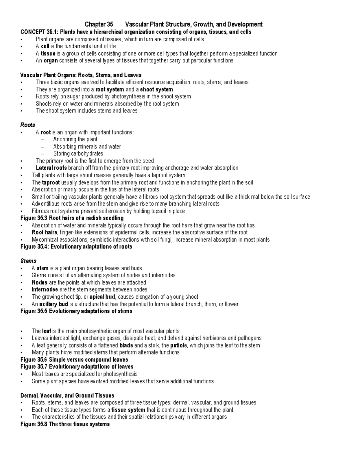 Chapter 35: Vascular Plant Structure, Growth & Development Notes - Studocu