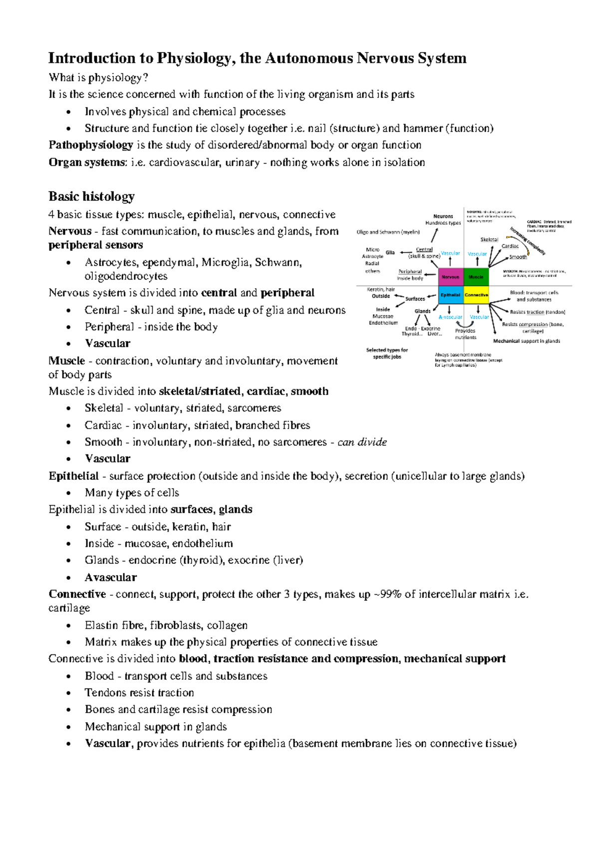 BIOL243 - Physiology Overview: The Autonomic Nervous System Explained ...
