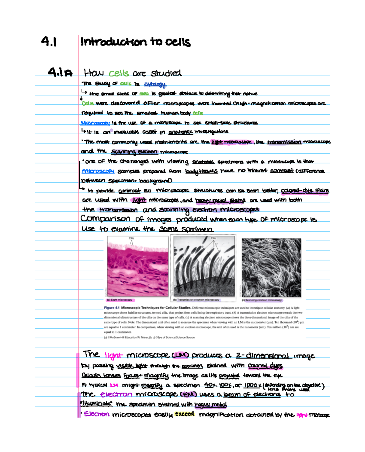 Introduction to Cells: Structure, Function, and Microscopy Techniques - 4 1 Introduction to ...