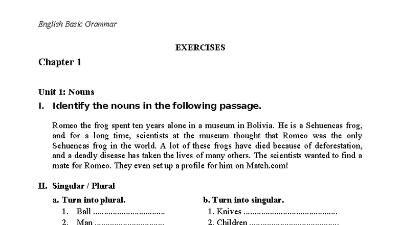 English Basic Grammar Exercises (11) - Chapter 1: Nouns and Pronouns ...