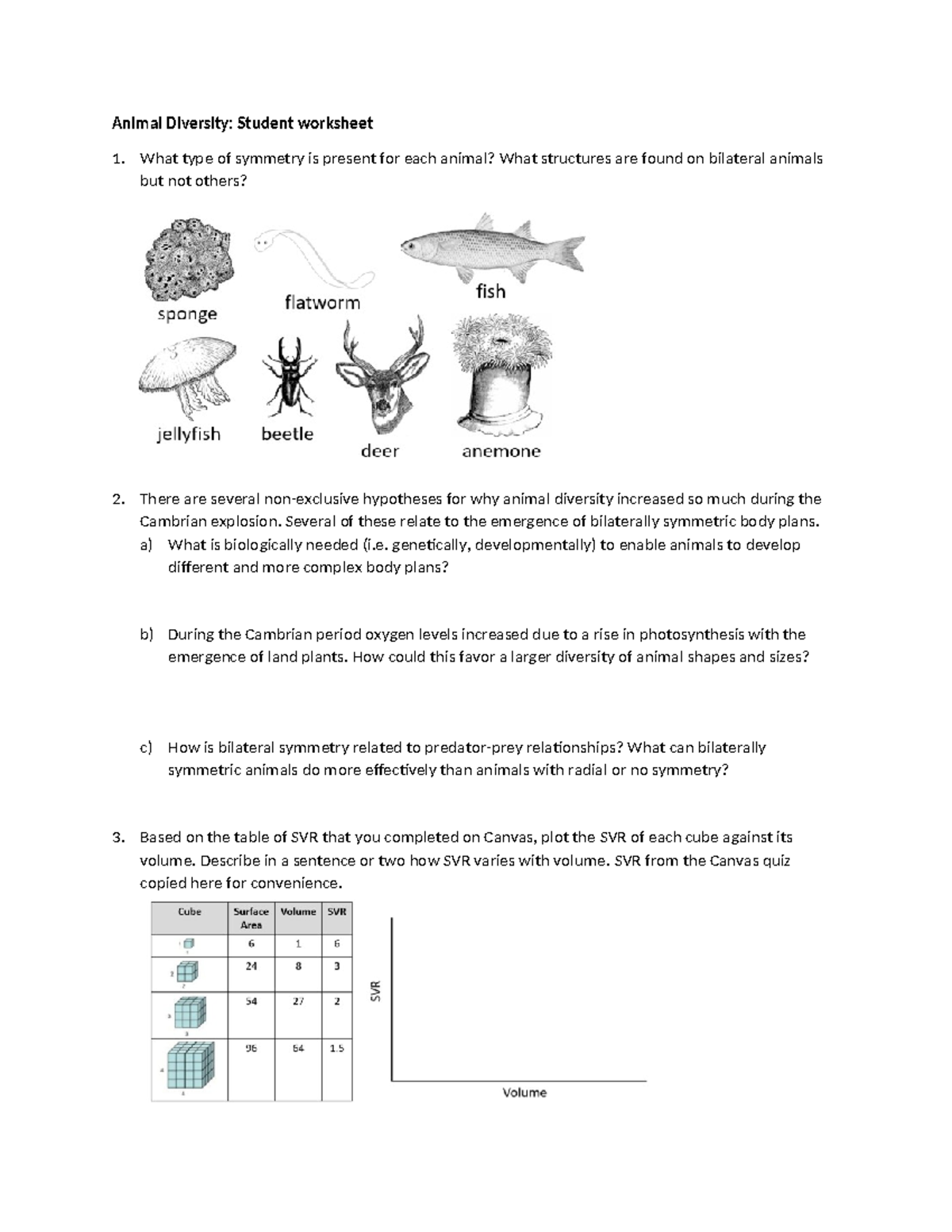 Animal Diversity: Worksheet on Symmetry and Cambrian Explosion (32 ...